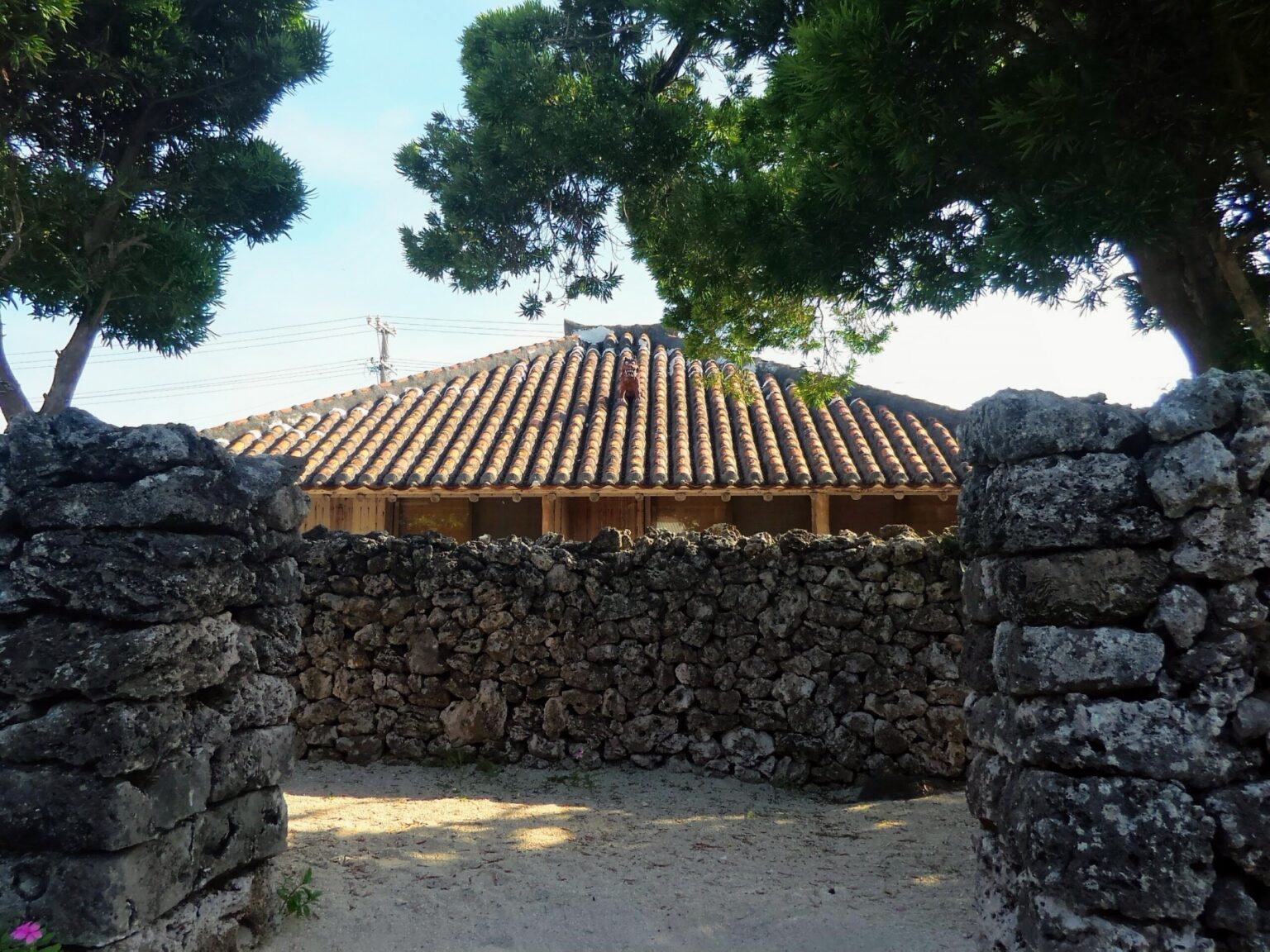 【2024年最新】水納島のおすすめホテル・民宿4選！宿泊事情も徹底解説します！ - 沖縄ツアーズ